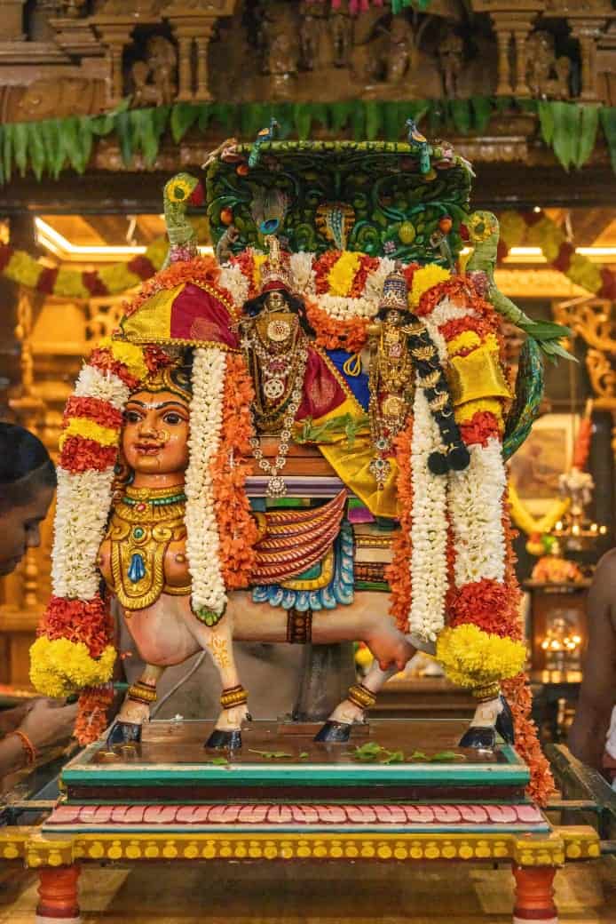Sri Swamiji’s Event Updates - September 2024 - Namadwaar